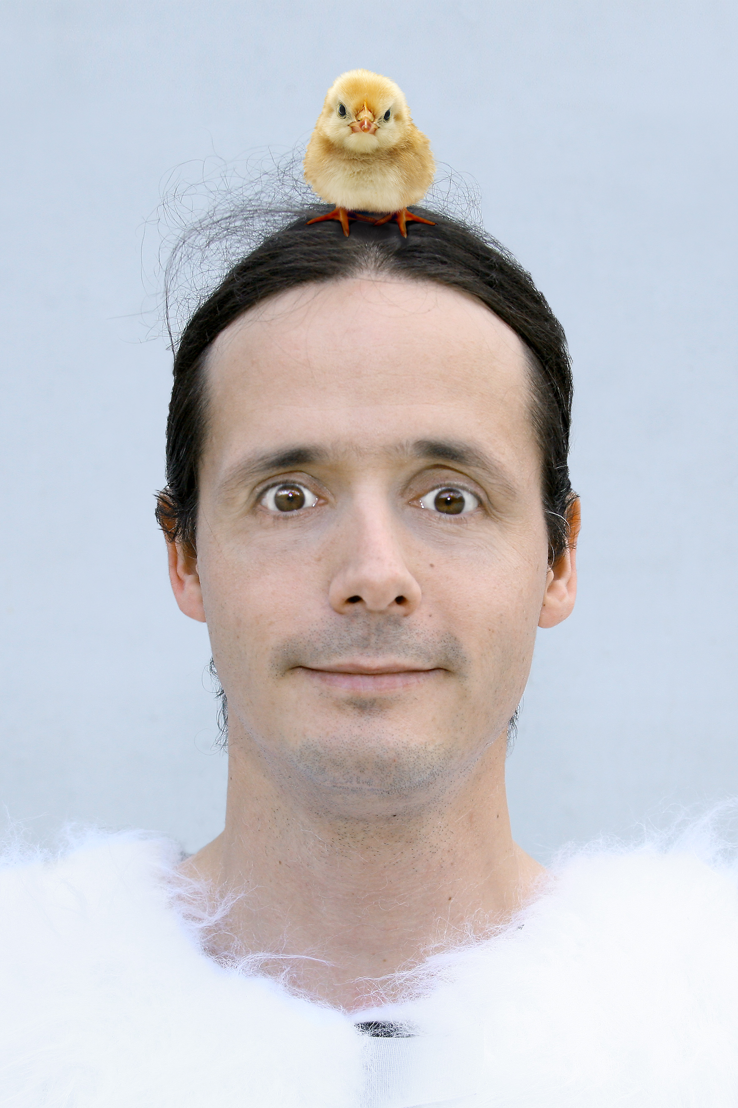 Pressematerial für Philipp Weber „FUTTER – streng verdaulich“